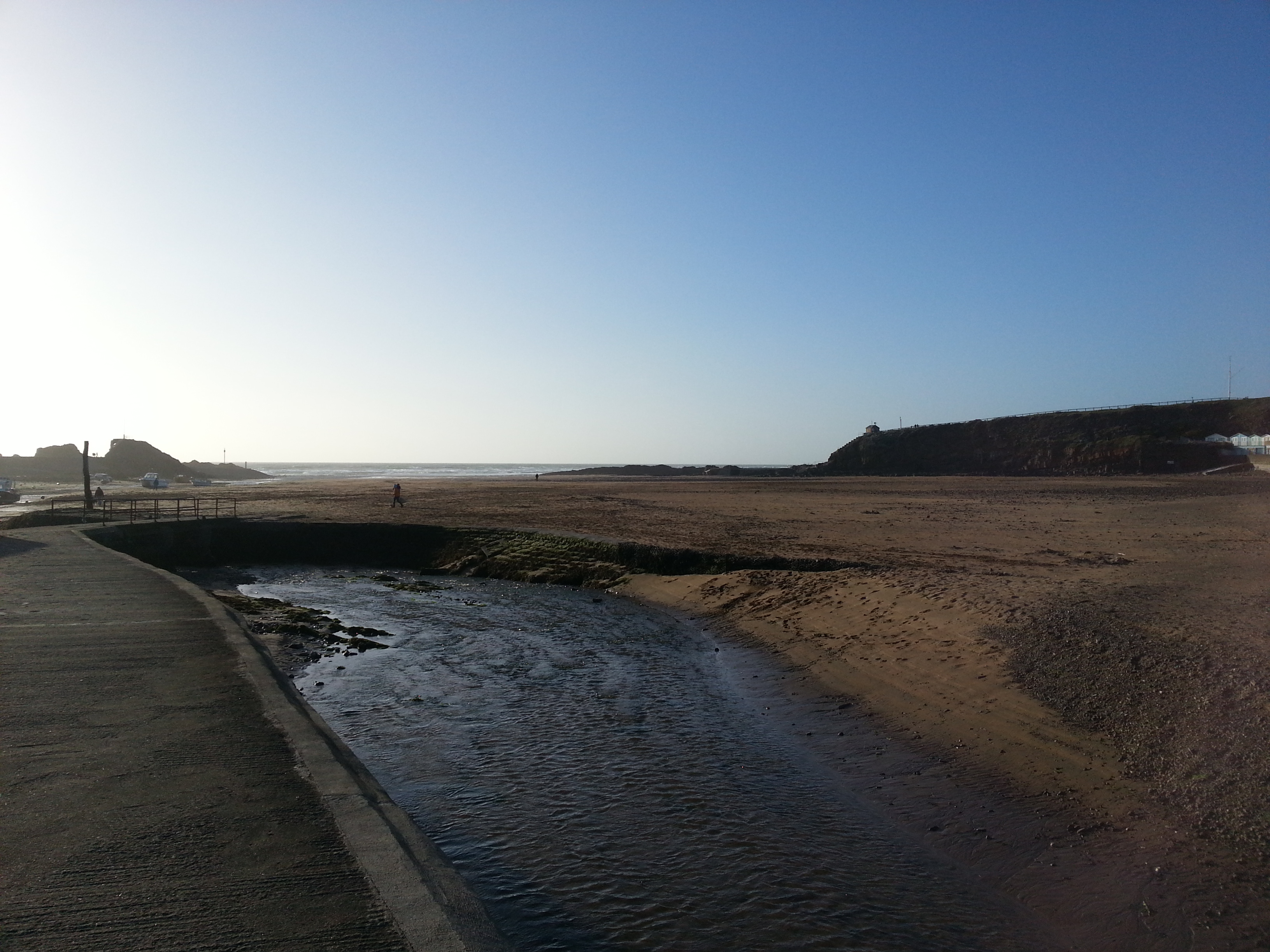 Anthony Payne: A Real Cornish Giant - The Cornish Bird