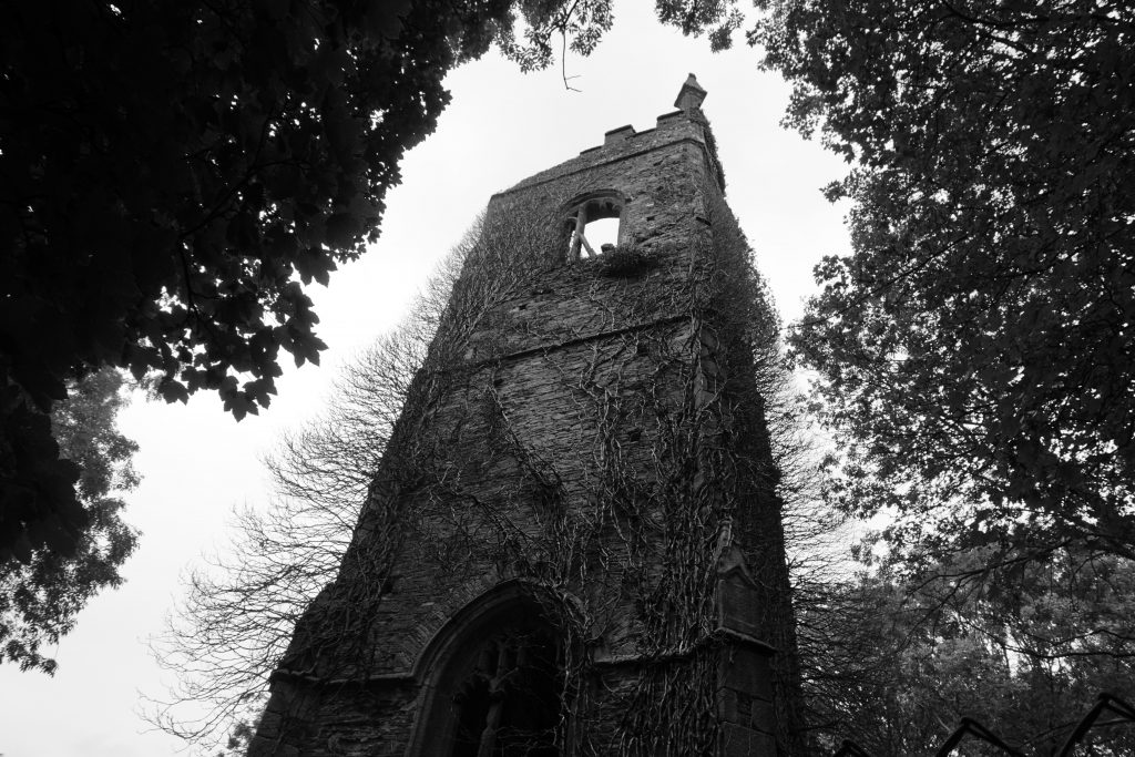 The ruin of Old Kea Church - The Cornish Bird