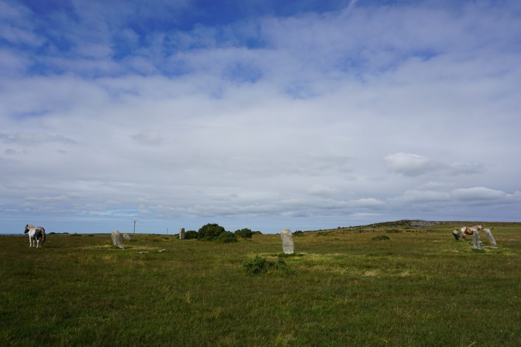 The Trippet Stones - The Cornish Bird