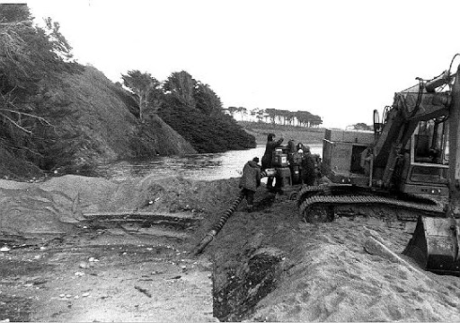 The Mystery of Loe pool & the Bar, Helston - The Cornish Bird
